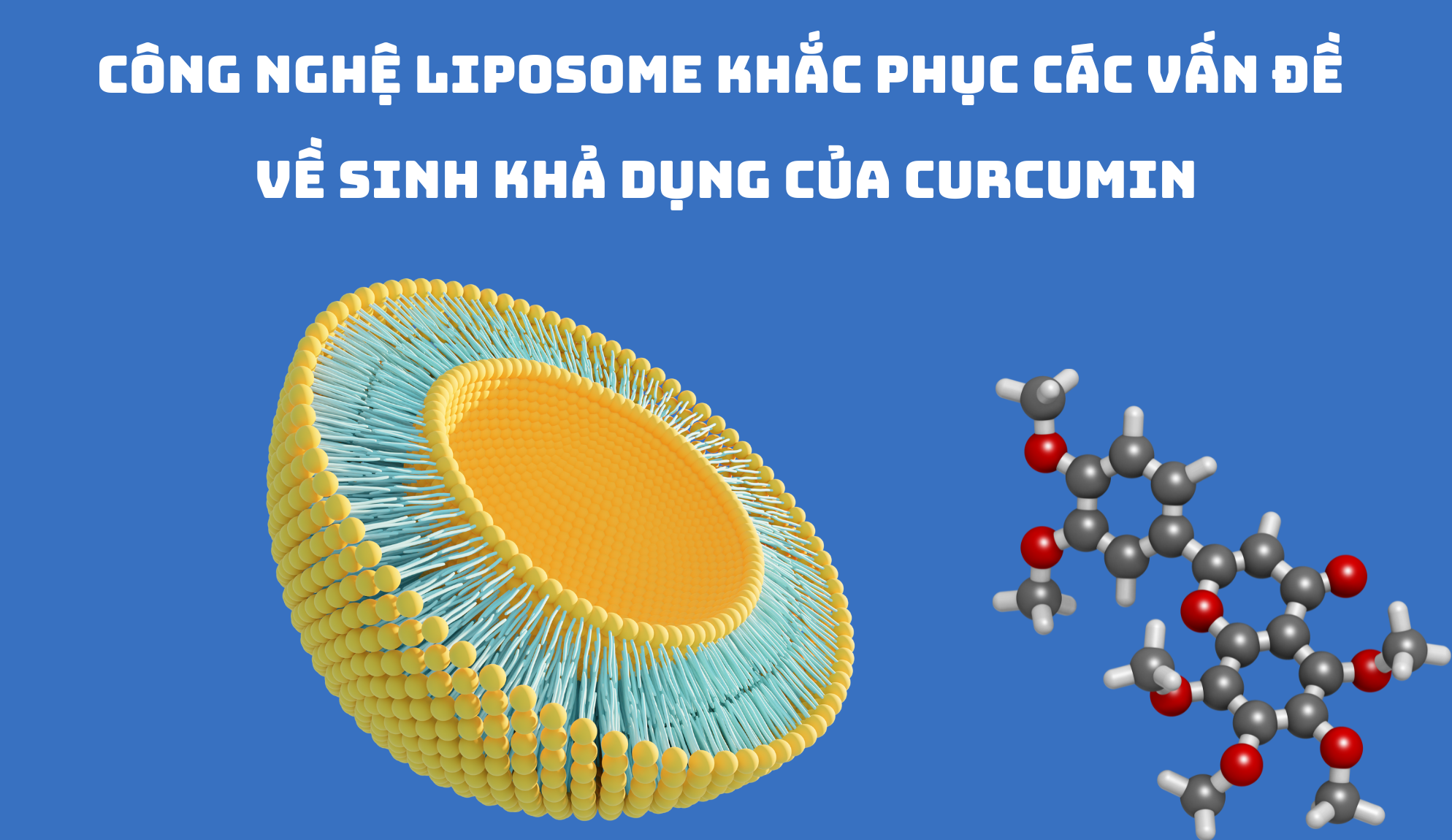 Công nghệ Liposome khắc phục các vấn đề về sinh khả dụng của Curcumin